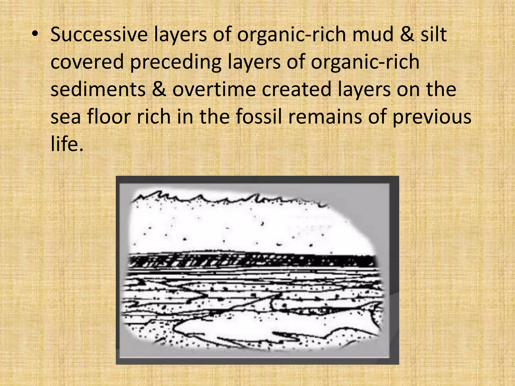 ORIGIN OF PETROLEUM.pptx