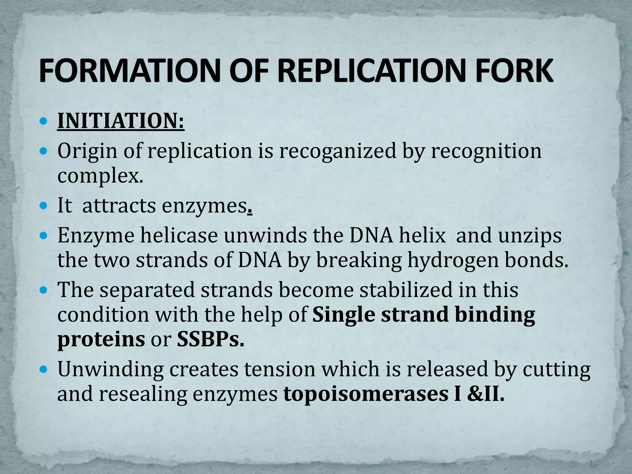 Origin of replication, replication fork, enzymes | PPTX