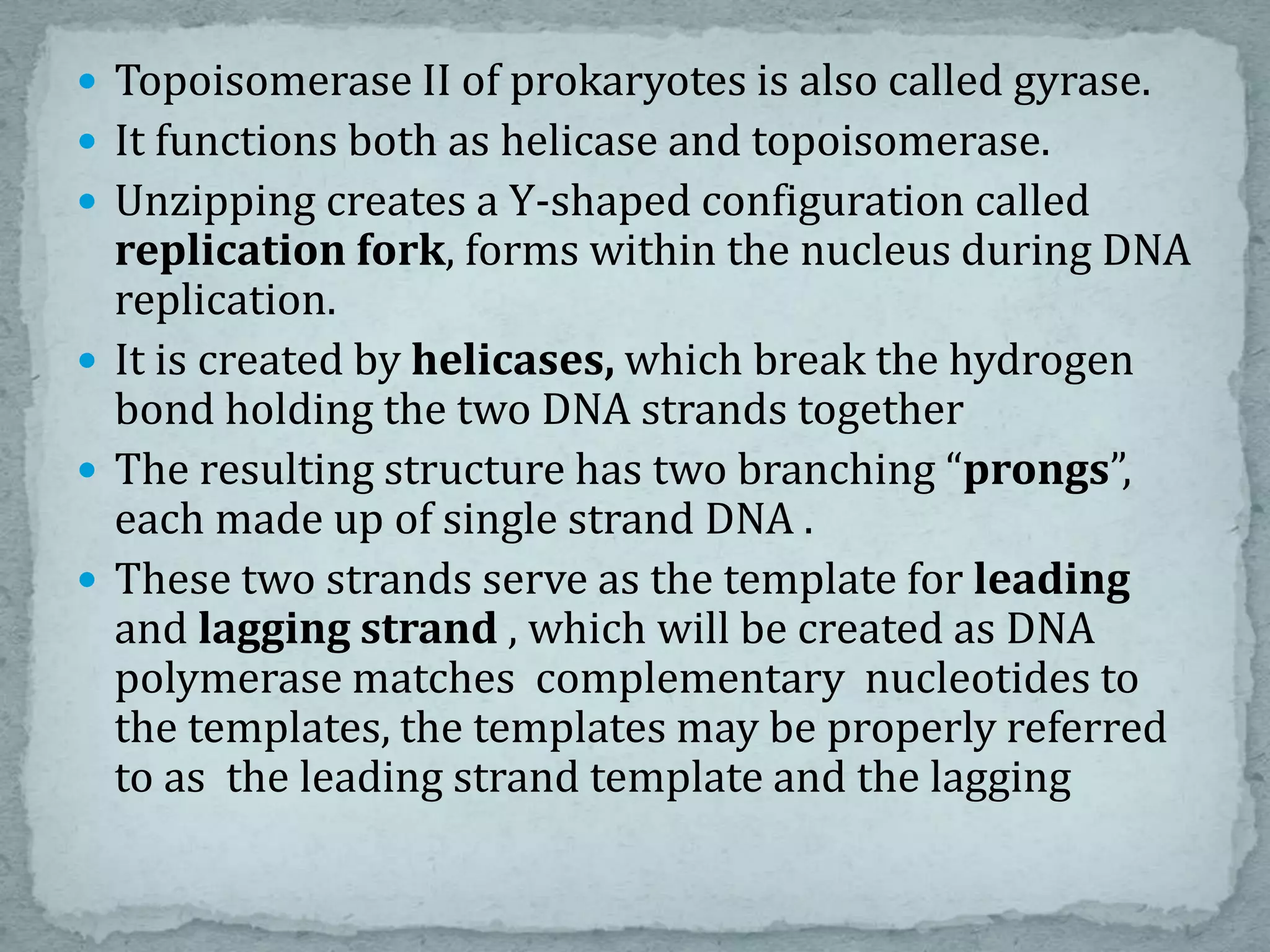 Origin of replication, replication fork, enzymes | PPTX