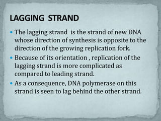 Origin of replication, replication fork, enzymes | PPTX