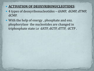 Origin of replication, replication fork, enzymes | PPTX