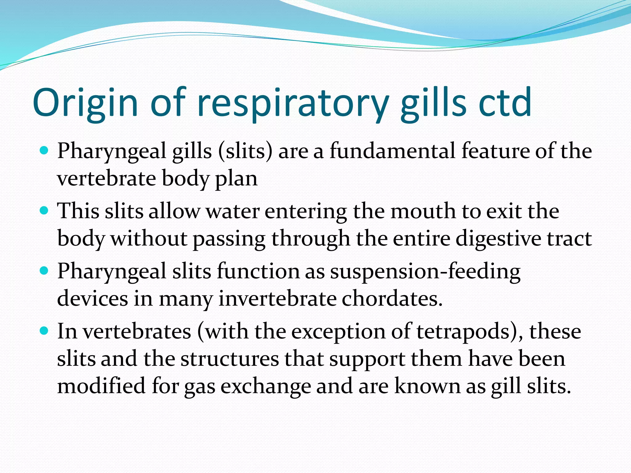 Origin of respiratory gills | PPTX