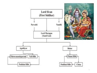 Origin of siddha medicine basic of siddha | PPT