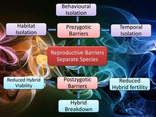 Origin of species | PPTX