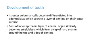 Origin of teeth | PPTX