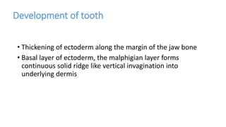 Origin of teeth | PPTX