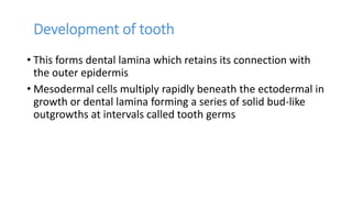 Origin of teeth | PPTX