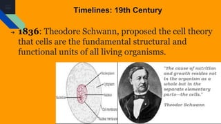 Origin of the discipline biochemistry | PPSX