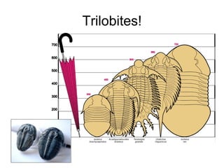 Origin of the Earth & Geologic Time | PPT