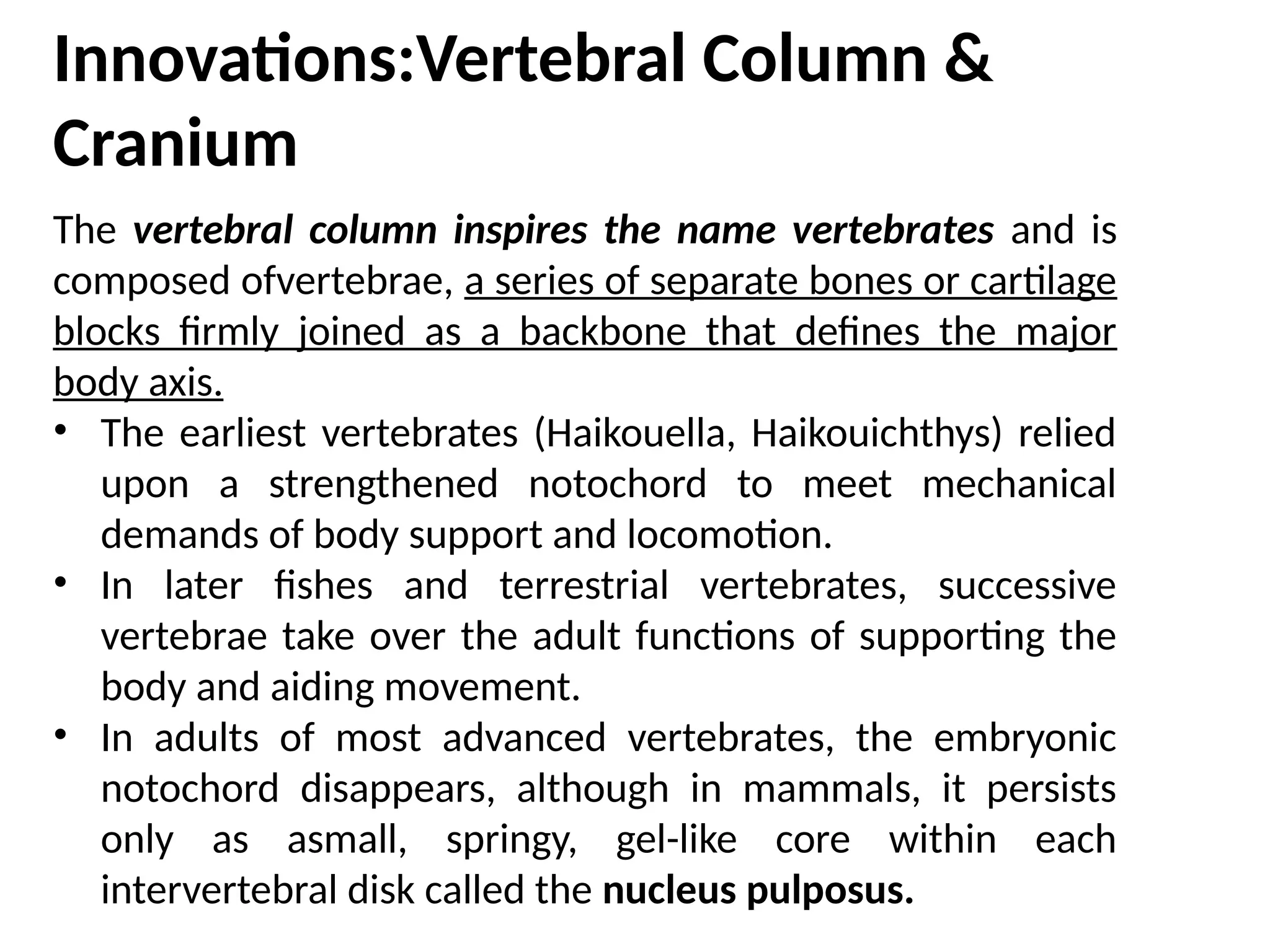 Origin of Vertebrates PowerPoint Presentation | PPTX