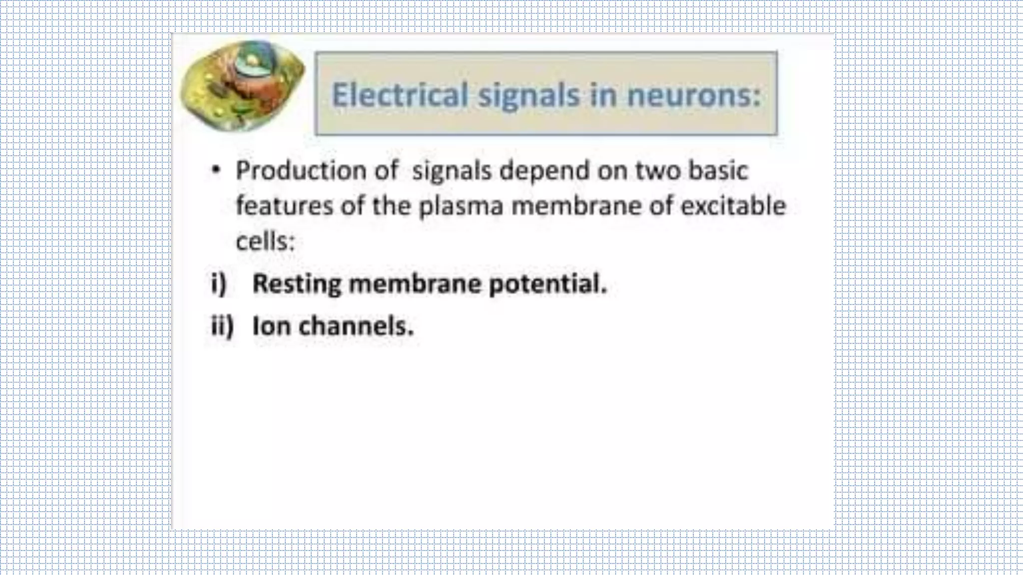 Origin & Propagation of Action Potential (TALK-12).pdf | Physics | Science