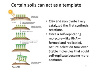 Origins of Life | PPTX | Biological Sciences | Science