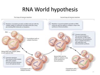 Origins of Life | PPTX | Biological Sciences | Science