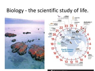 Origins of Life | PPTX | Biological Sciences | Science