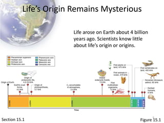 Origins of Life | PPTX | Biological Sciences | Science