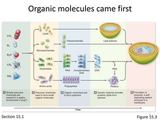 Origins of Life | PPTX