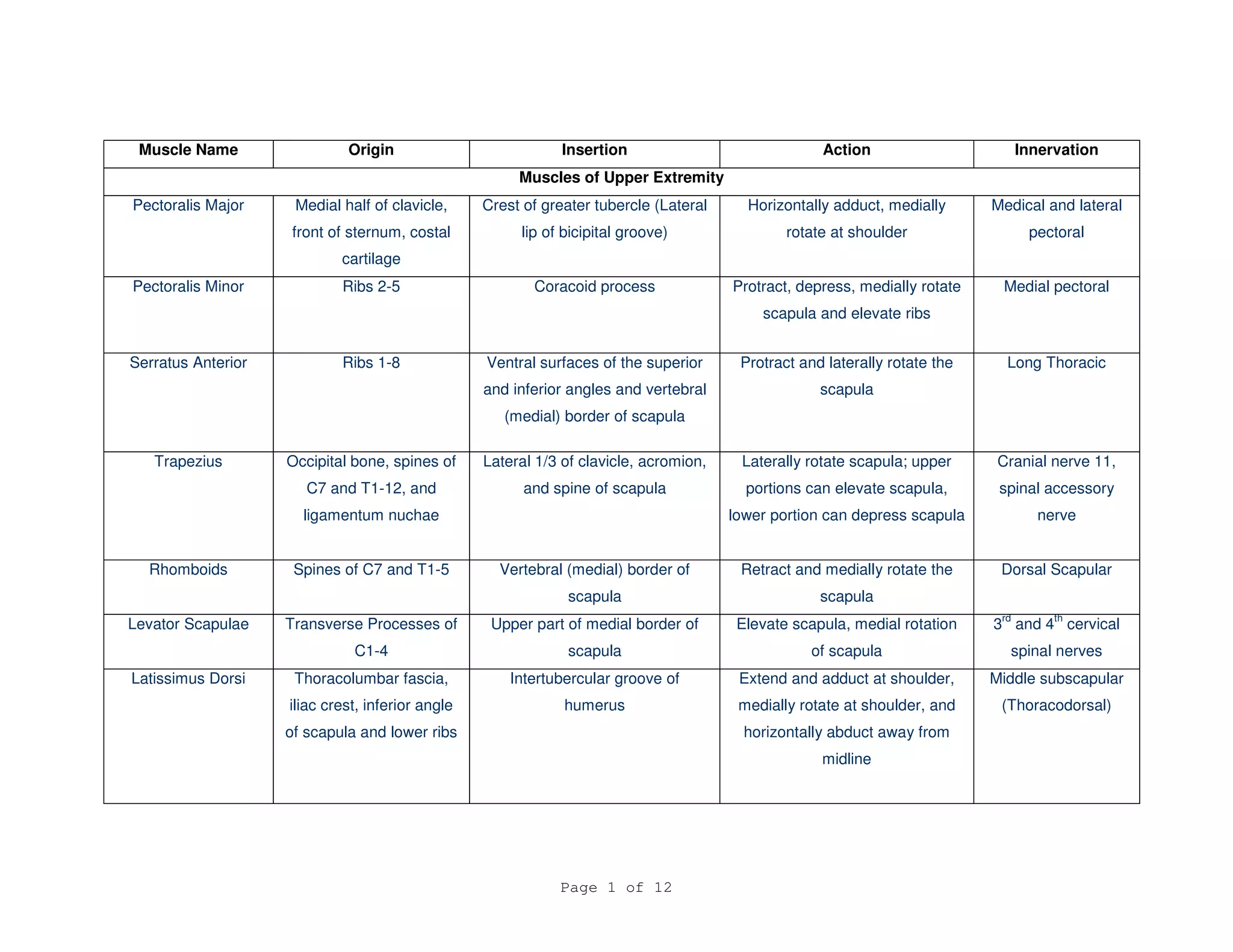 Origins and insertions | PDF