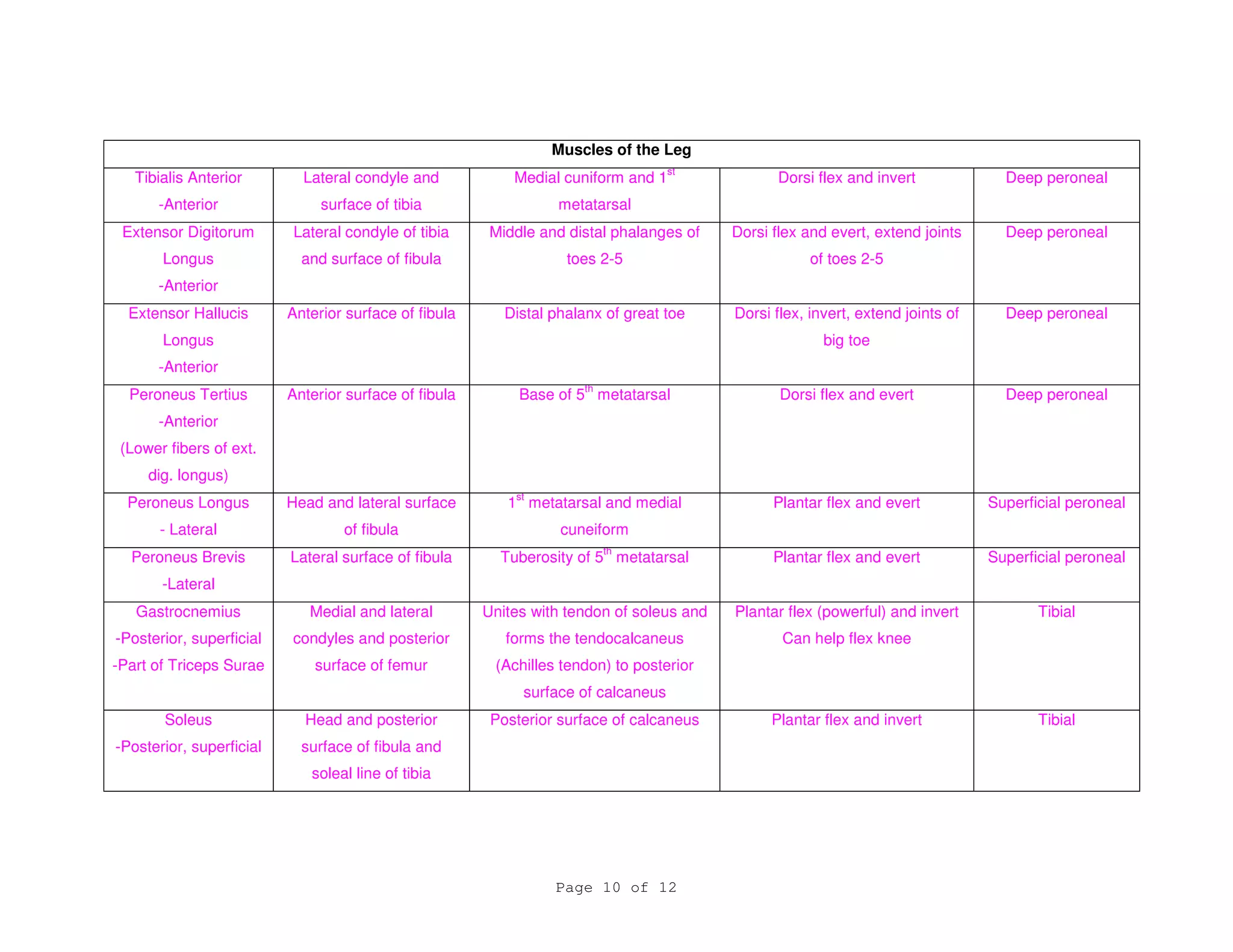 Origins and insertions | PDF