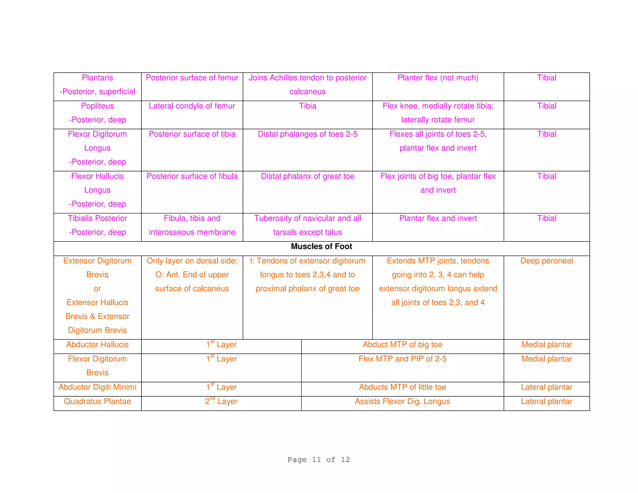 Origins and insertions | PDF