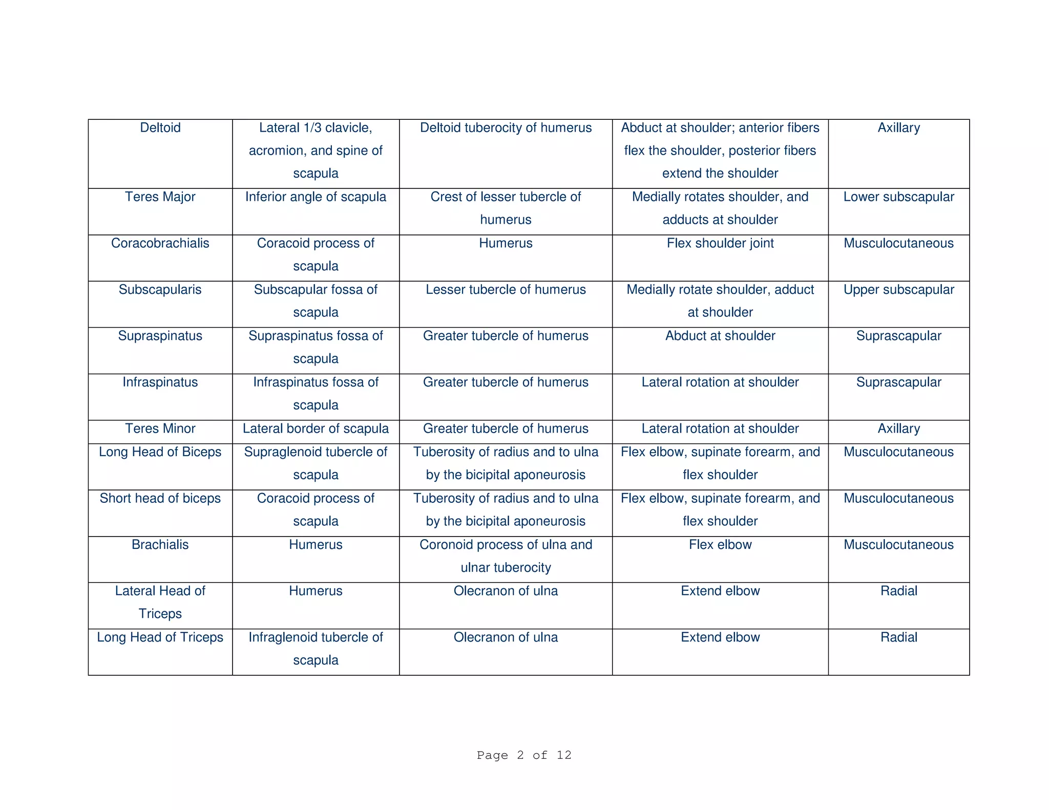 Origins and insertions | PDF
