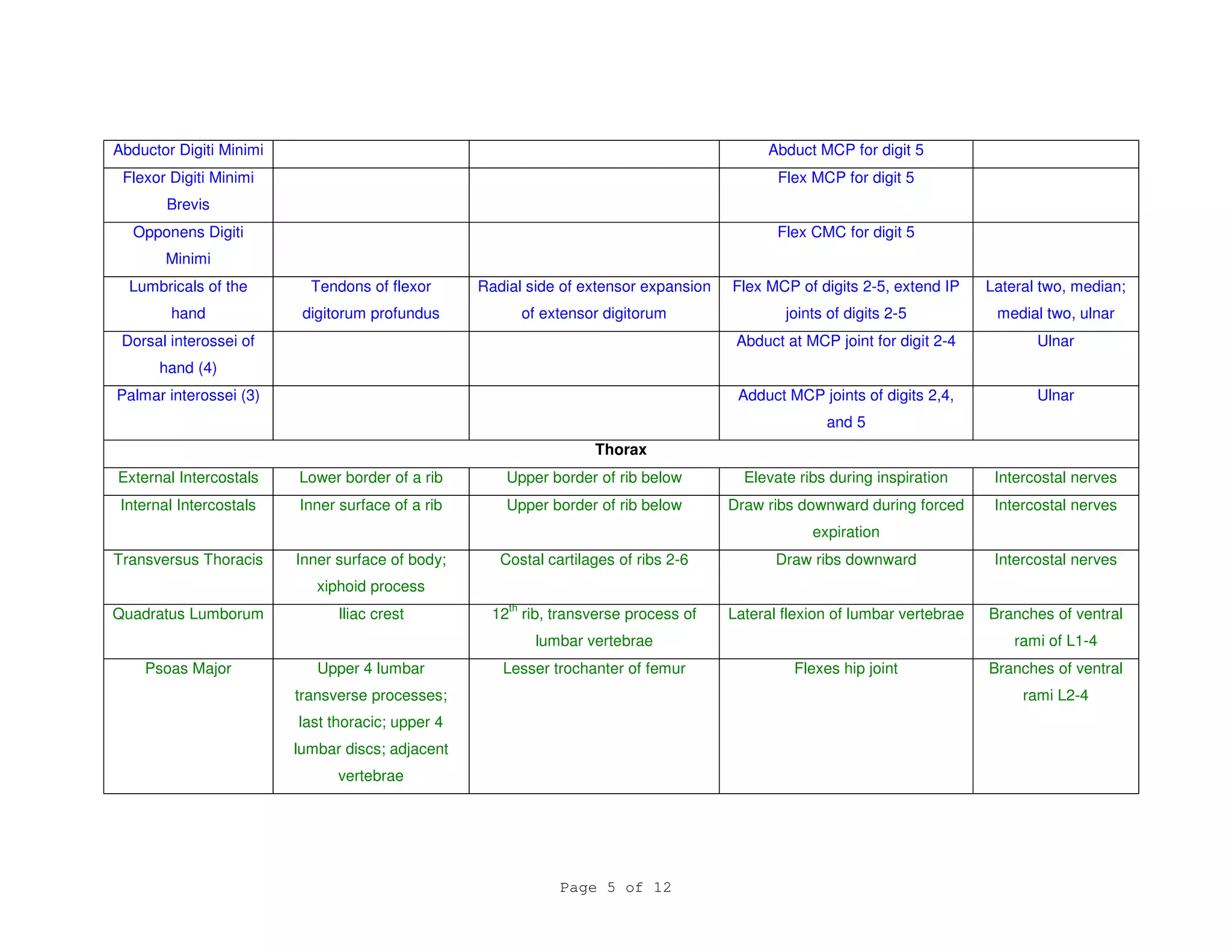 Origins and insertions | PDF