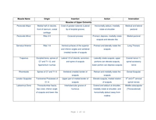 Origins and insertions | PDF