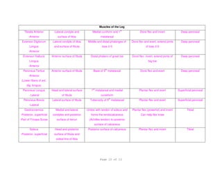 Origins and insertions | PDF