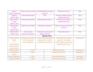 Origins and insertions | PDF