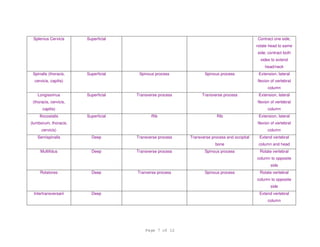 Origins and insertions | PDF