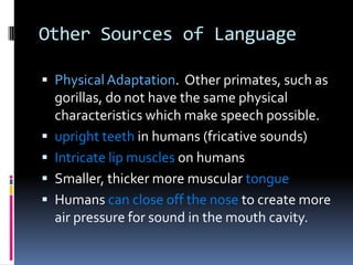 Origins of language | PPTX