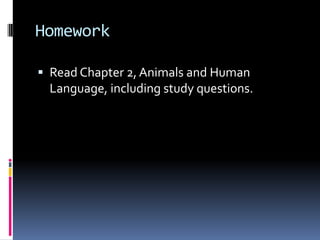 Origins of language | PPTX