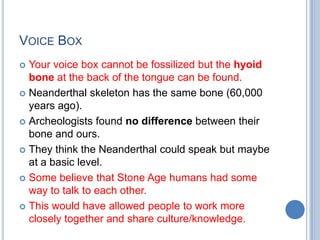 Origins of language | PPT