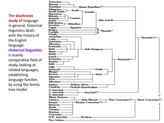Origins of language and linguistics | PPTX