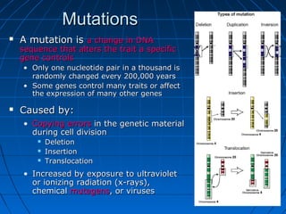 Origins of Life 2 - Mechanisms | PPT