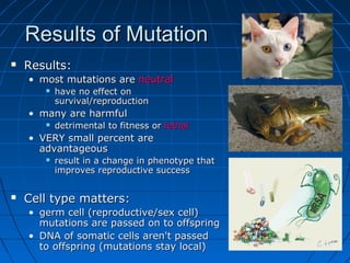 Origins of Life 2 - Mechanisms | PPT