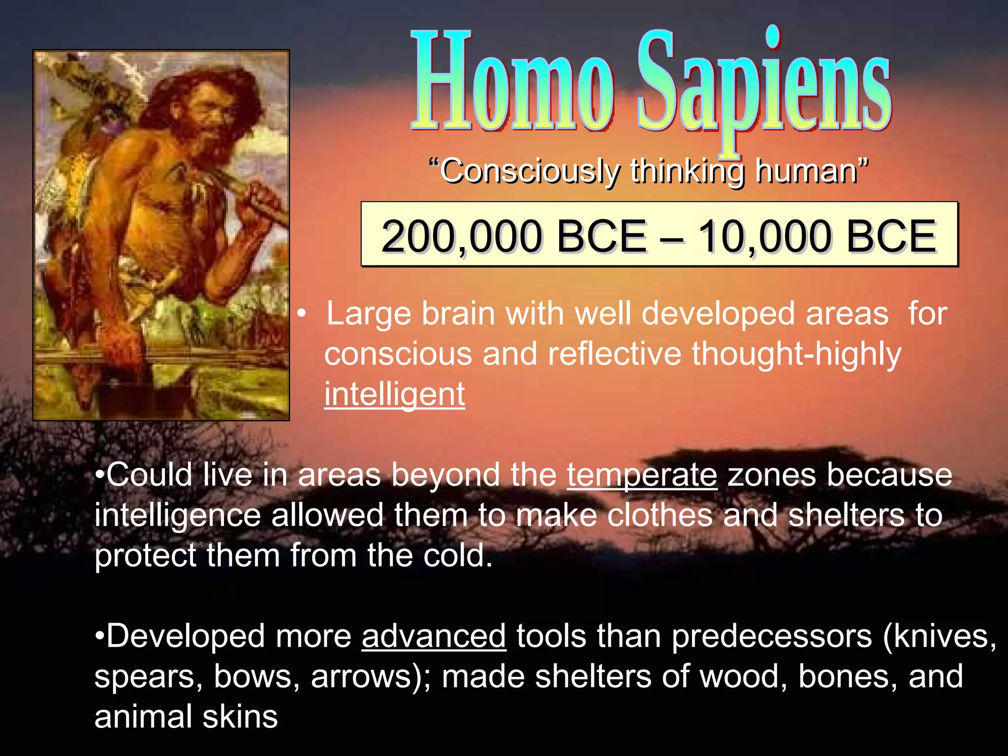 Paleolithic Age | PPT