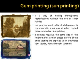 Origins of photography | PPT