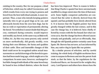 Origin of species | PPT