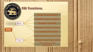 Origin,Structure and Functions of RBI | PDF