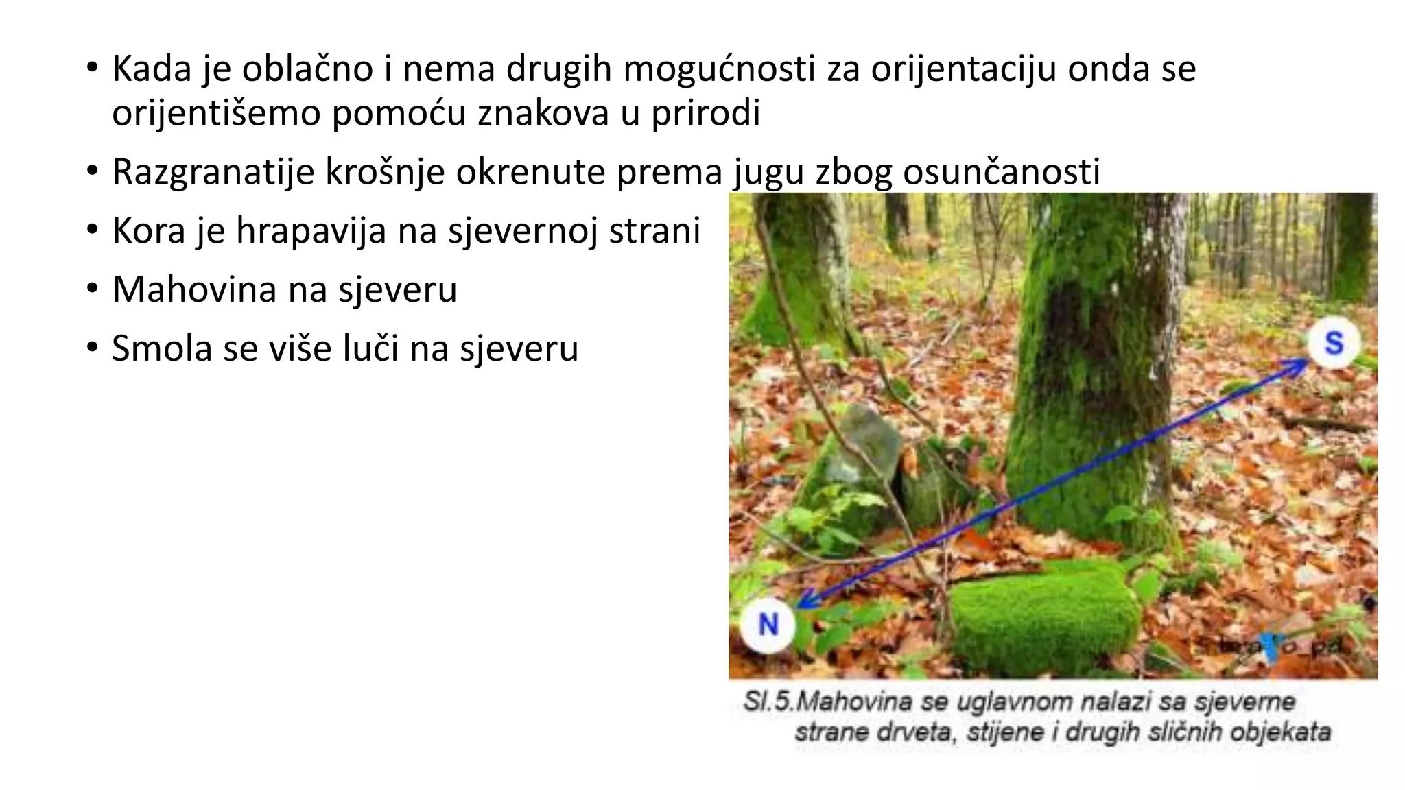 Orijentacija na Zemlji.pptx