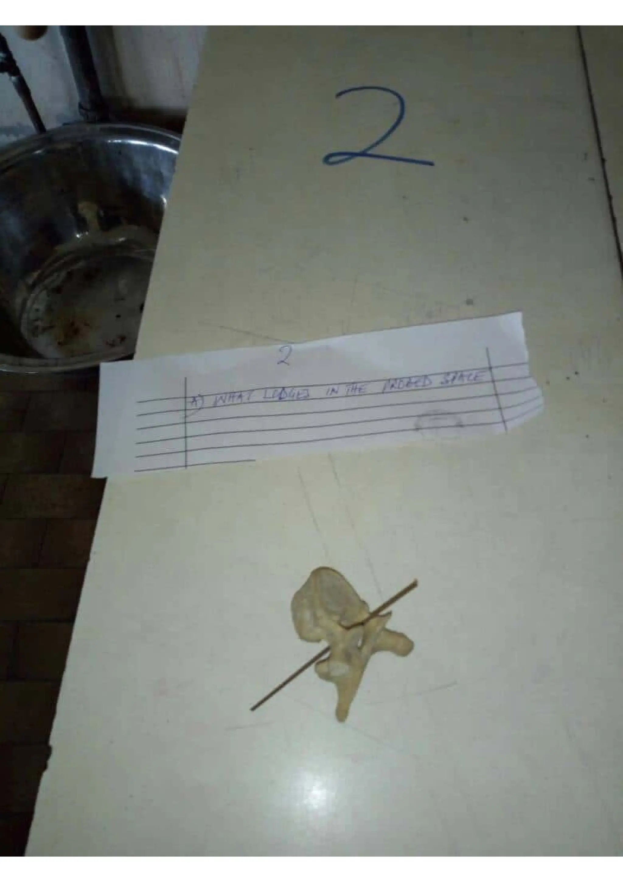 The steeplechase exam in Human Anatomy practical | PDF