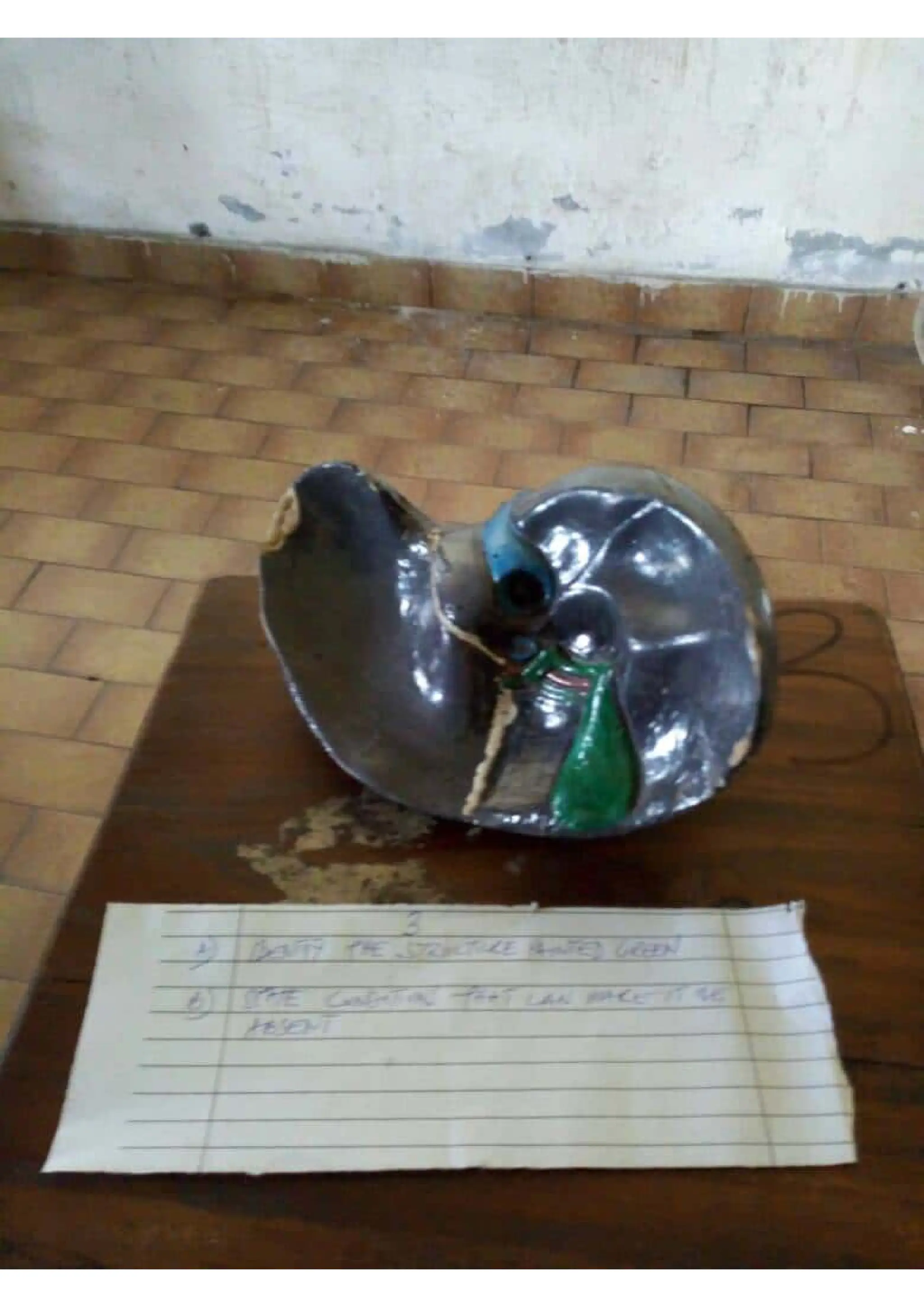 The steeplechase exam in Human Anatomy practical | PDF