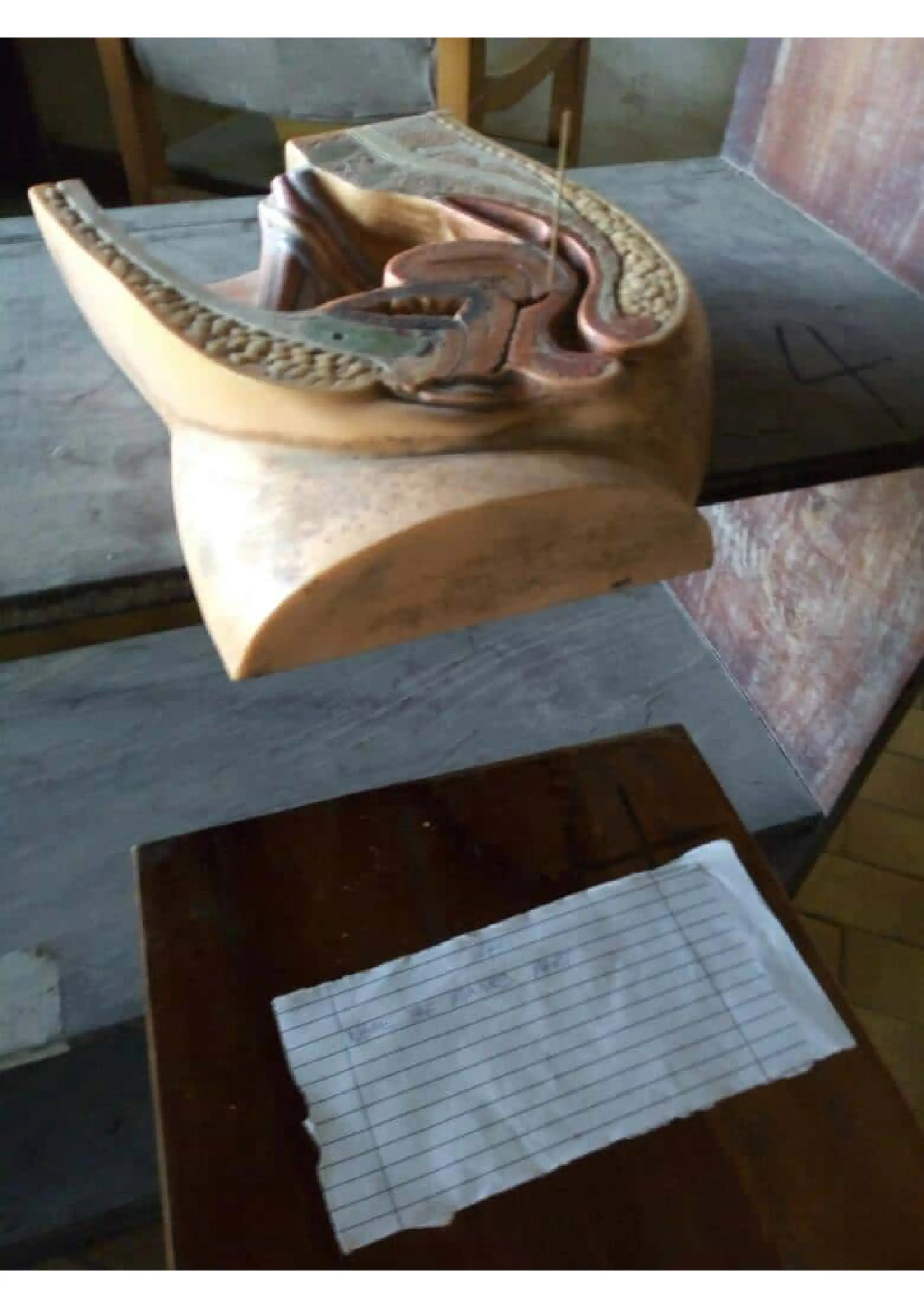 The steeplechase exam in Human Anatomy practical | PDF