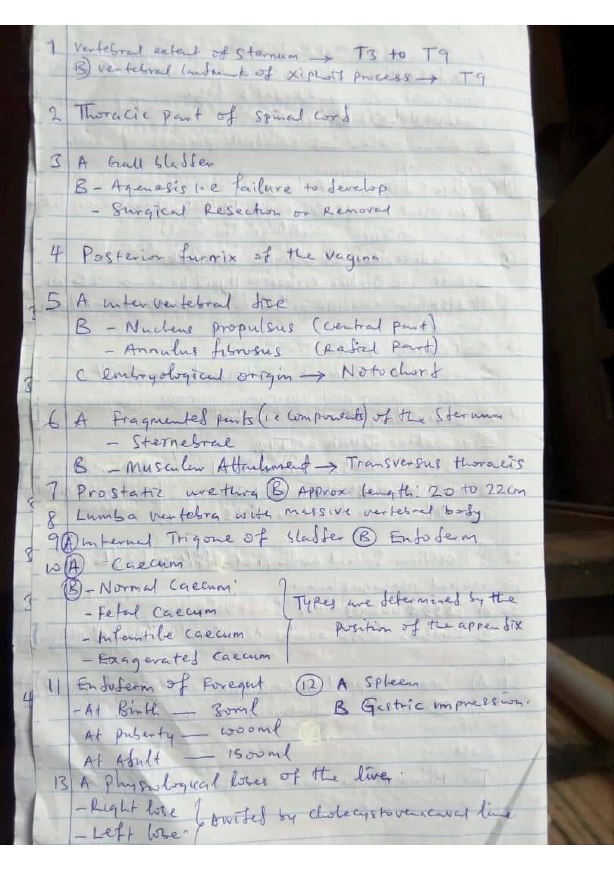 The steeplechase exam in Human Anatomy practical | PDF