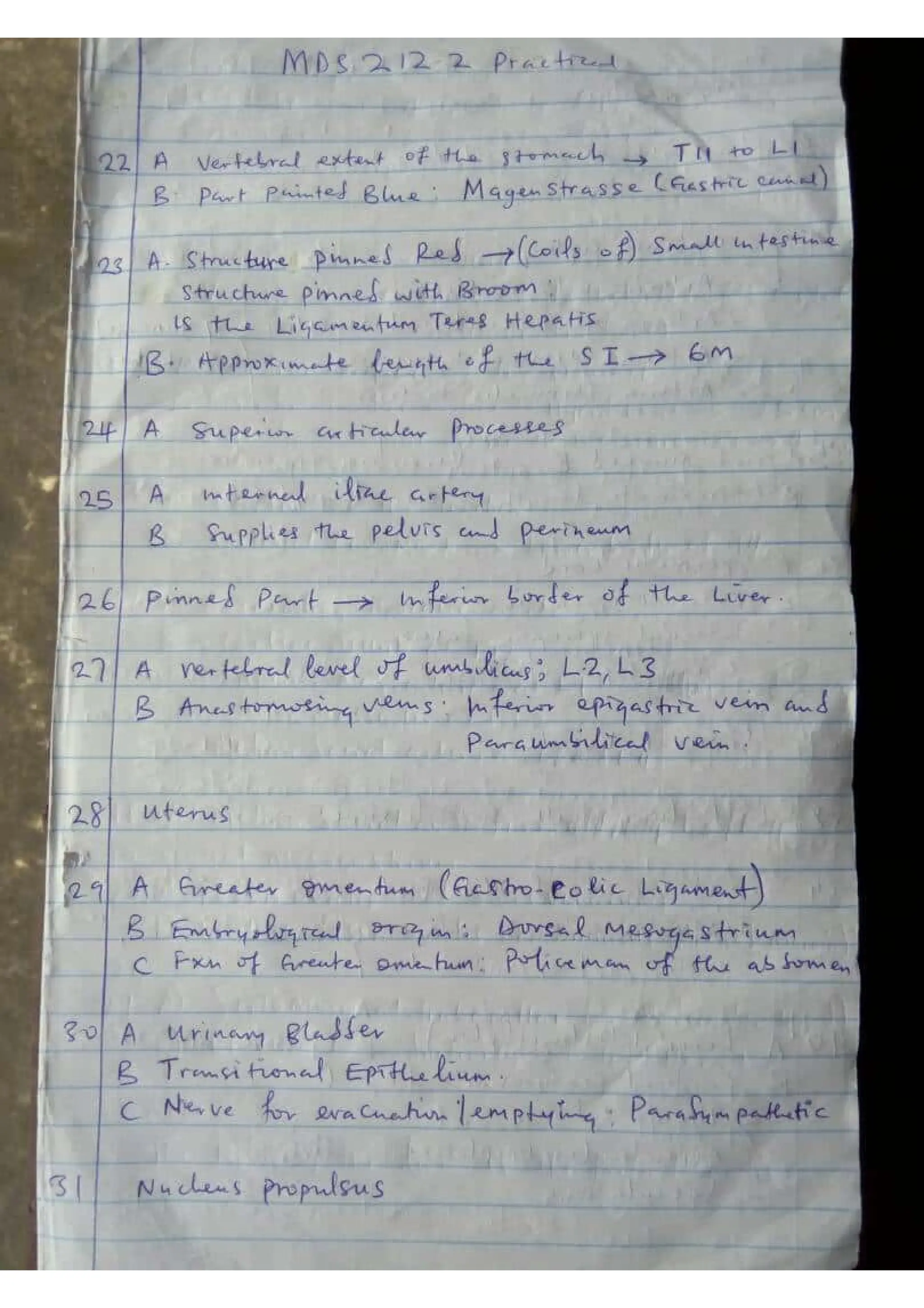 The steeplechase exam in Human Anatomy practical | PDF