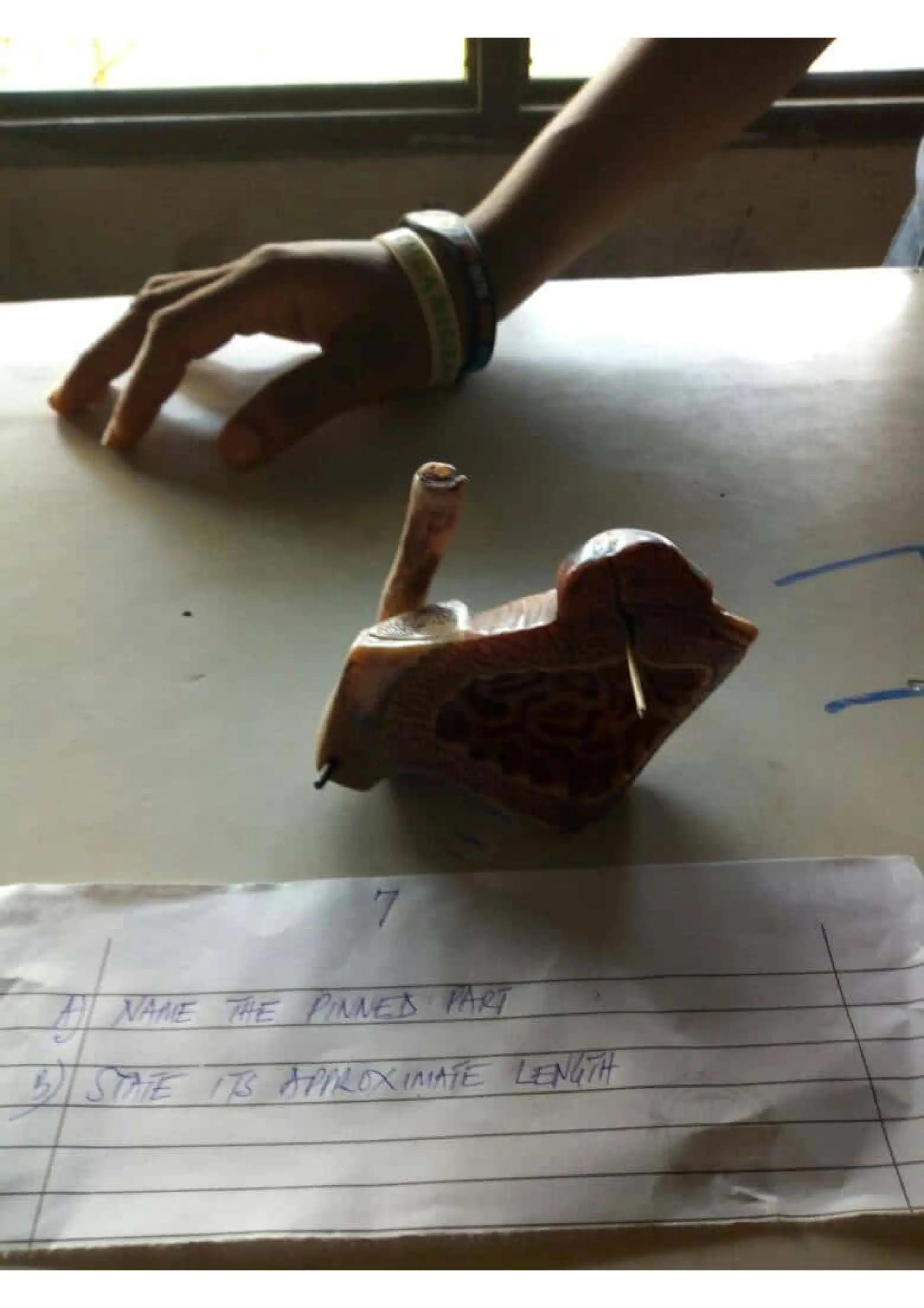 The steeplechase exam in Human Anatomy practical | PDF