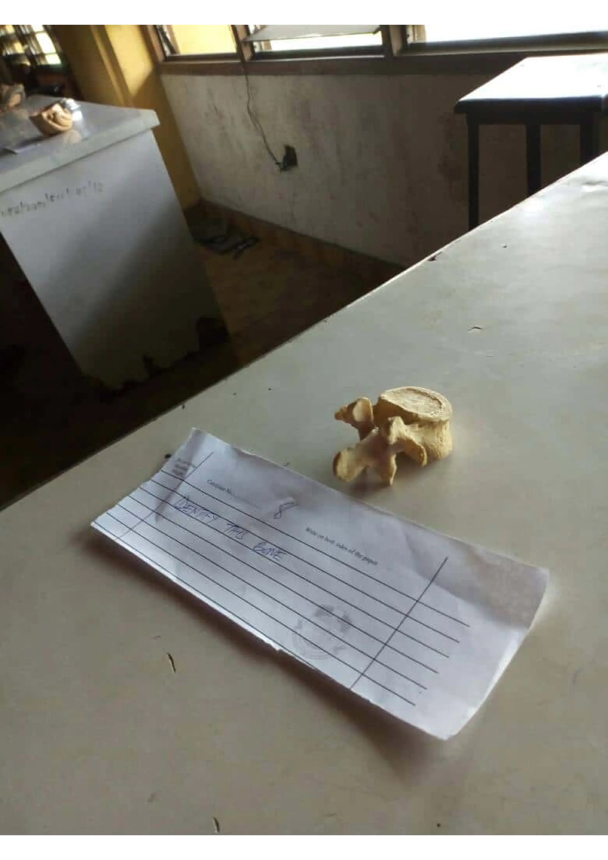 The steeplechase exam in Human Anatomy practical | PDF