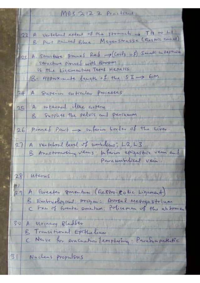 The steeplechase exam in Human Anatomy practical | PDF