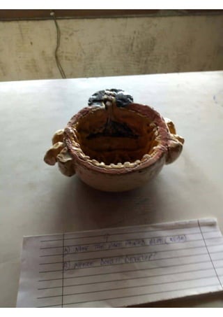 The steeplechase exam in Human Anatomy practical | PDF