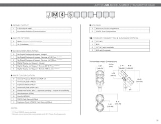 Orion Instruments Jupiter Magnetostrictive Level Transmitter | PDF